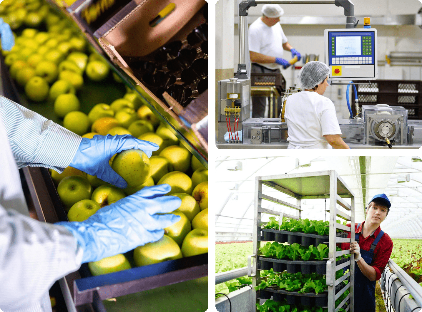 HACCP eLearning Training Certification