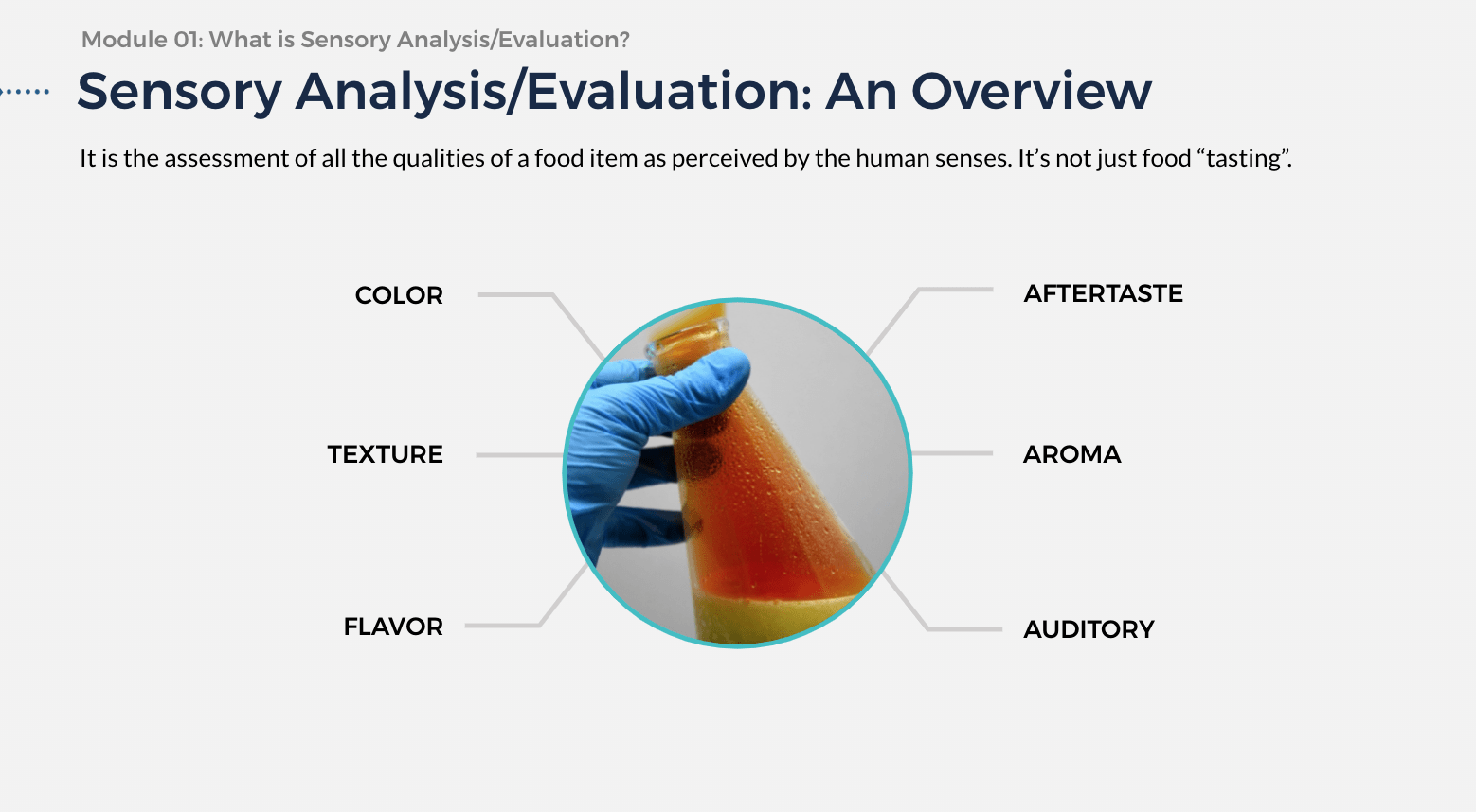 Advanced Sensory Analysis of Food - IEH Academy