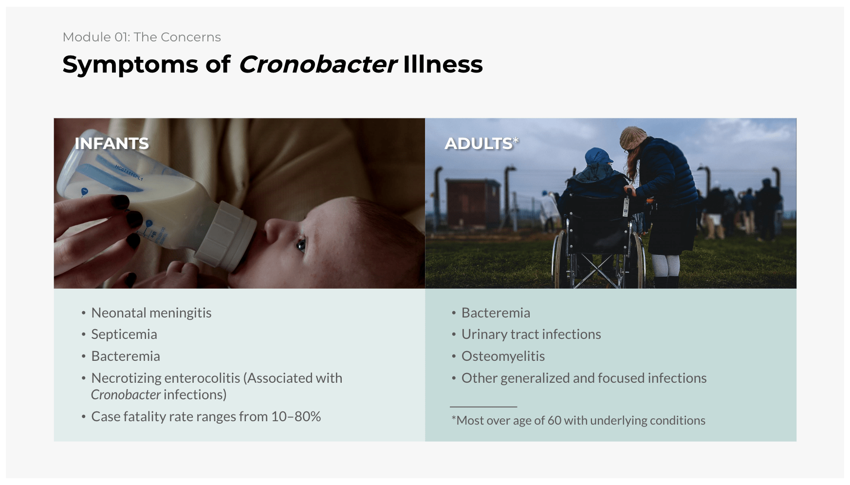 Combating Cronobacter in Foods: Causes, Concerns, and Solutions - IEH ...