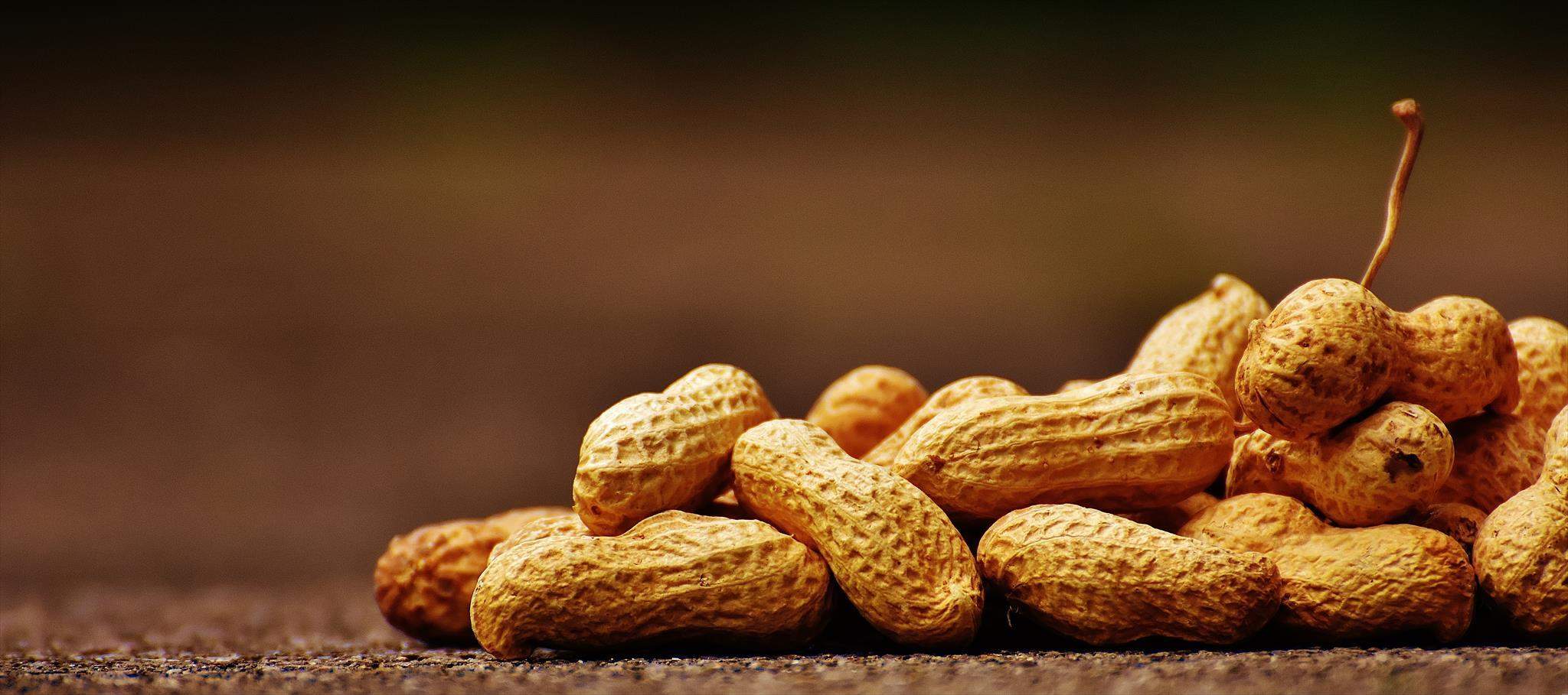 Peanut 101: Ingredient Uniformity (PART II) - IEH Academy