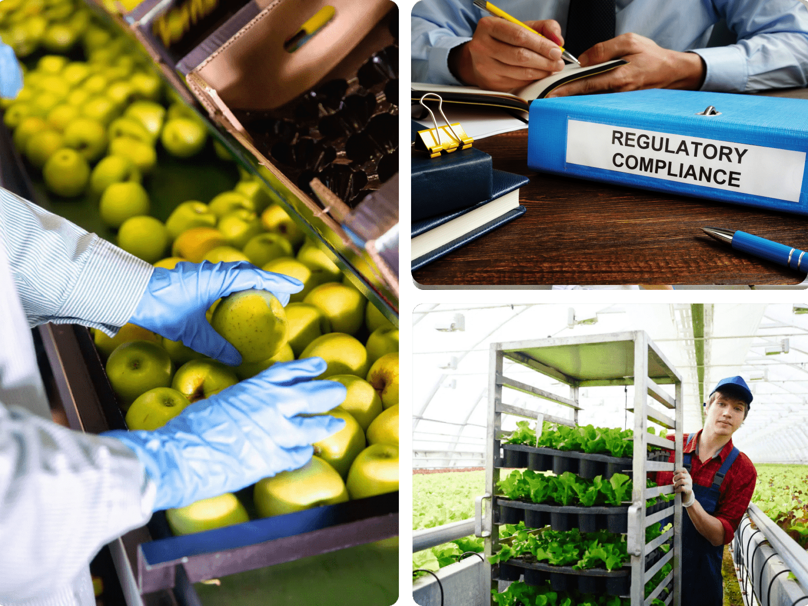 Regulatory Compliance - IEH Academy