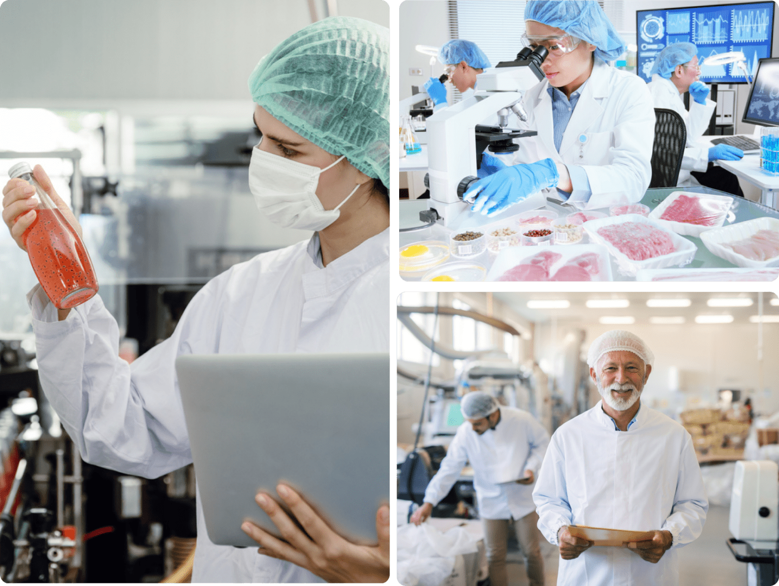 Food Safety Learning Management System